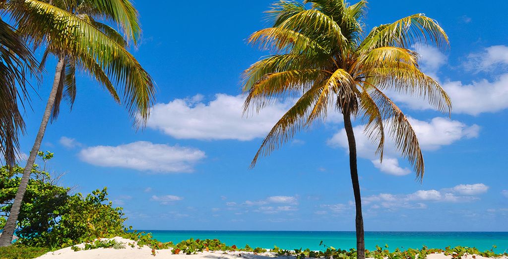 Reise in Eigenregie: Die Schätze Kubas - Kuba - Bis zu -70% | Voyage Privé