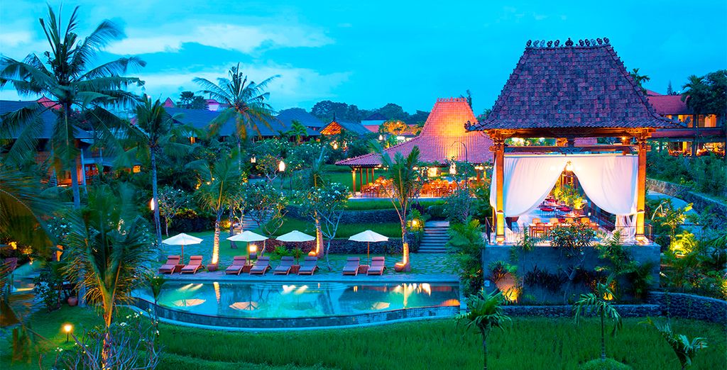 Opiniones - Alaya Resort Ubud 5* y Mövenpick Resort & Spa Jimbaran 5 ...