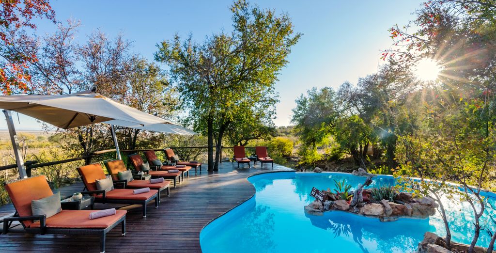 Hôtel Peermont Metcourt et Impodimo Game Lodge - Afrique du Sud - Jusqu ...