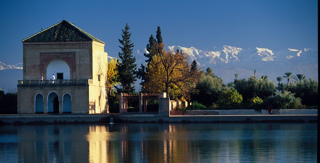 Le Vizir Center - Park & Resort - 4* Voyage Privé : jusqu'à -70%