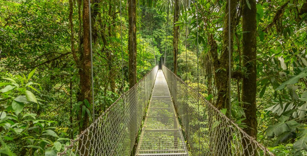 Nature Secrets of Costa Rica - San Jose - Up to 70% off | Voyage Privé