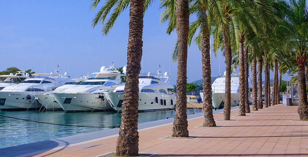 OD Port Portals 5* - Palma de Mallorca - Up to 70% off | Voyage Privé