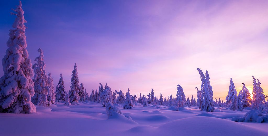Discover the Wonders of Finland - Kittila - Up to 70% off | Voyage Privé