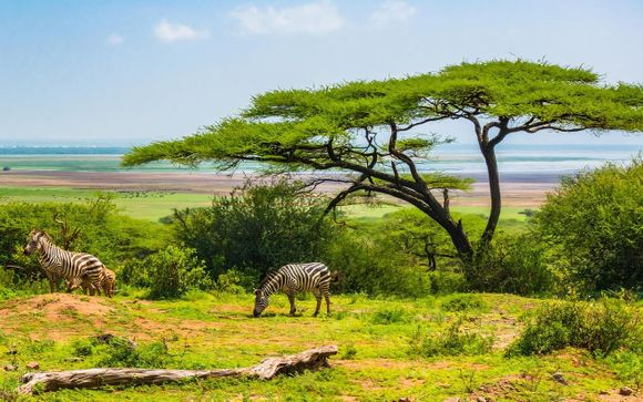 Comparez les safaris et trouvez les meilleurs prix - PartirOu